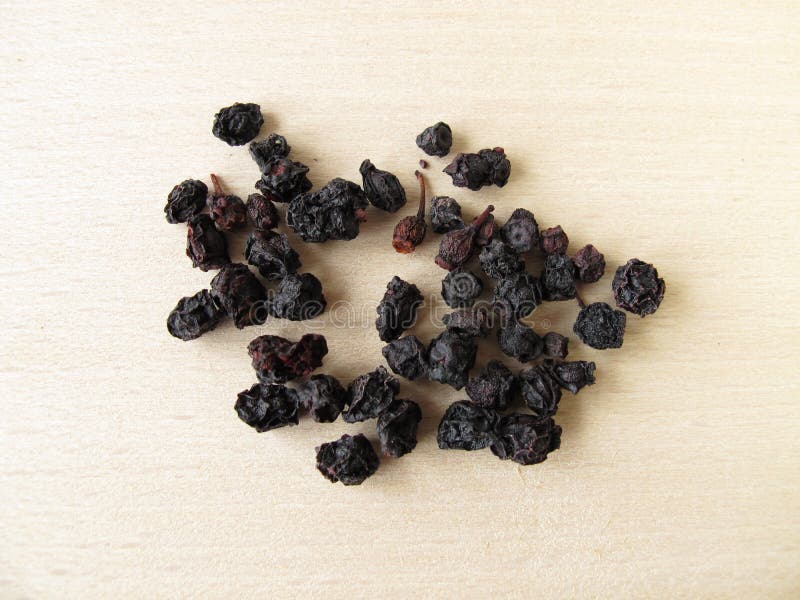Dried Blueberries, Myrtilli Fructus Stock Photo - Image of vaccinium ...