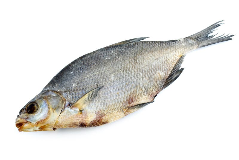 Dried bream fish stock photo. Image of isolated, single - 13065250