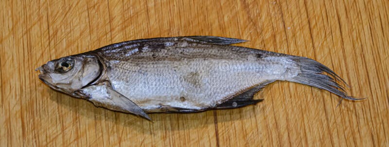 Dried Bream Fish Lying on the Table Stock Photo - Image of traditional ...
