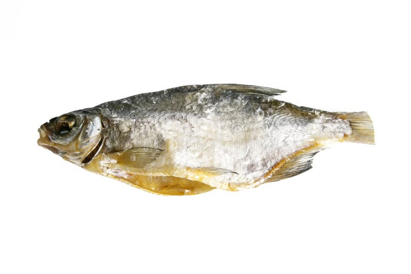 Dried Bream on a White Background. Snack Fish To Beer Stock Image ...