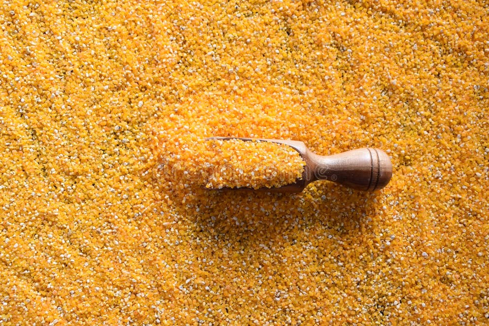 Dried broken corn kernels stock photo. Image of closeup - 207586478