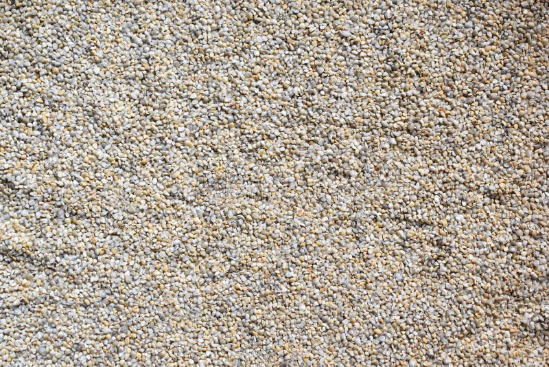 Dried broken Pearl millet stock image. Image of cereals - 208535143