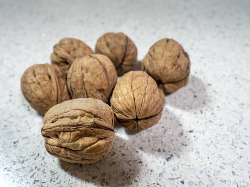 Dried Brown Walnuts with Their Hard Shells Stock Image - Image of dried ...