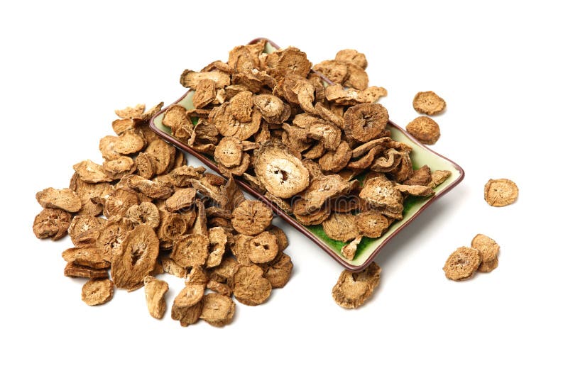 Dried Burdock stock photo. Image of single, size, isolated - 158755504