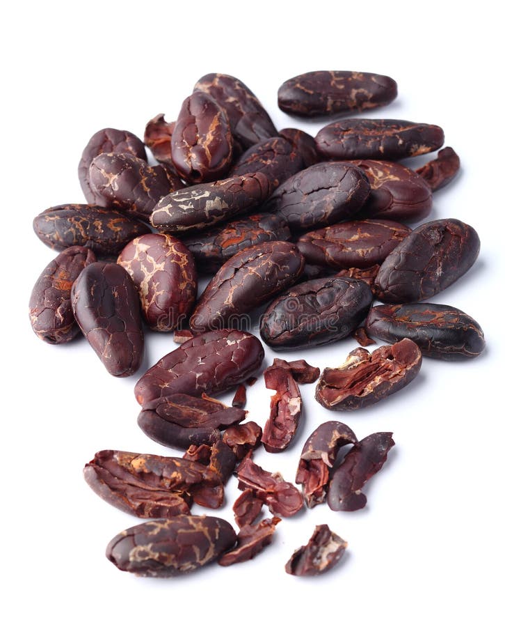 Cacao beans in closeup stock image. Image of plant, brown - 49364905