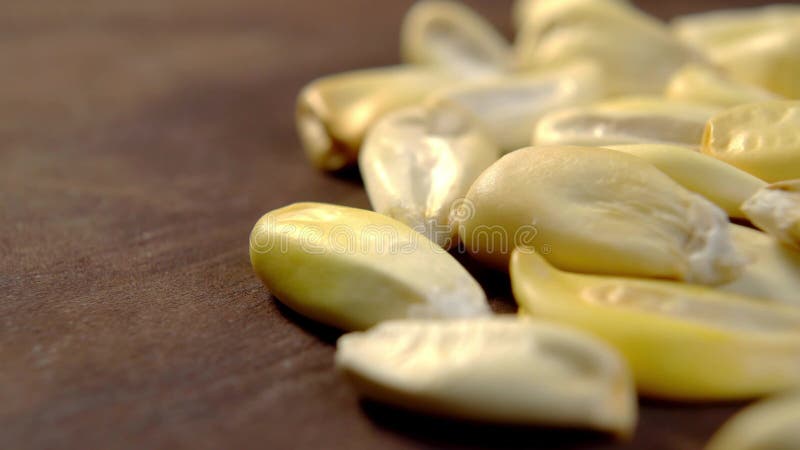 Dried Cancha Maize Kernels on Rustic Wooden Surface. Stock Video ...