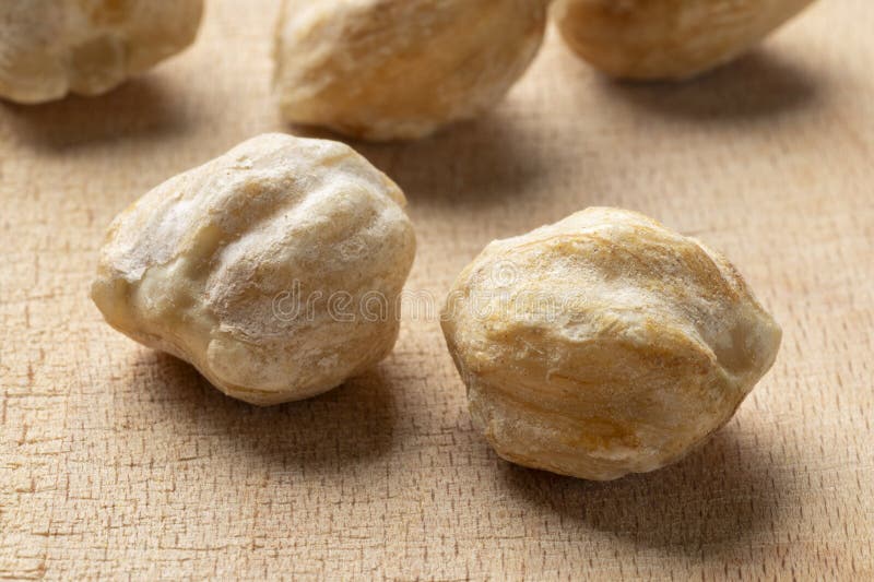 Dried candle nuts close up stock image. Image of seasoning - 315279793