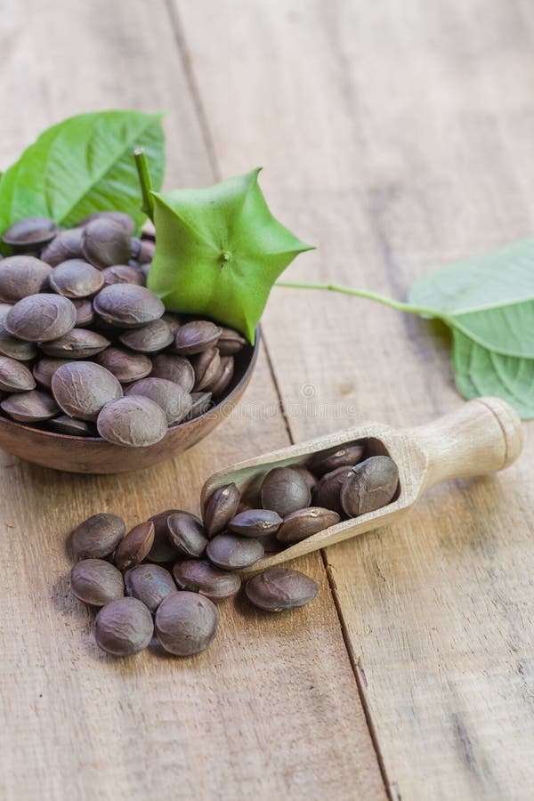 Dried Capsule Seeds Fruit of Sacha Inchi Peanut Stock Image - Image of ...