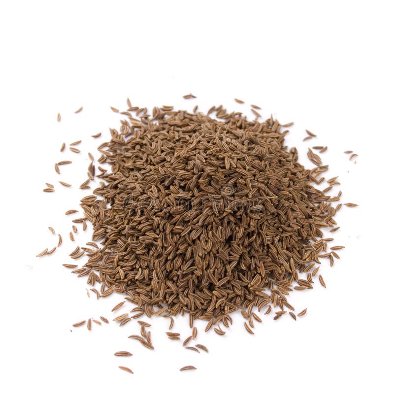 Dried caraway stock image. Image of seasoning, ingredient - 8264111