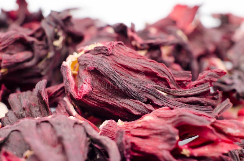 Carcade Flovers Stock Photos - Free & Royalty-Free Stock Photos from ...