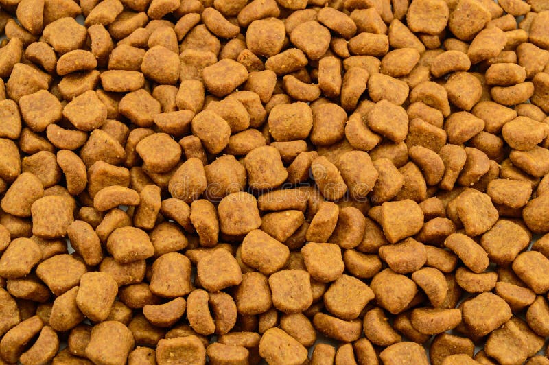 Dried cat food. Background stock photo. Image of food - 87392452