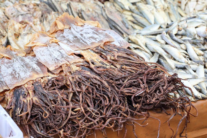 Dried cattle fish squid stock photo. Image of protein - 67485224