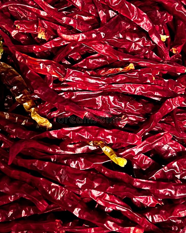 Dried Louisiana Cayenne Peppers Stock Photo - Image of flavoring ...