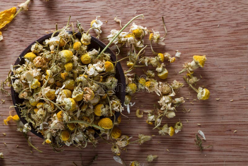 Dried chamomile stock photo. Image of flower, health - 35172420