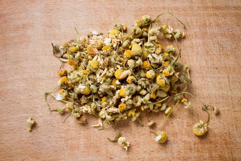 Dried chamomile flowers stock image. Image of head, healthy - 24063213