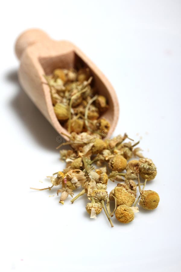 Dried chamomile flowers 4 stock image. Image of food - 26007499