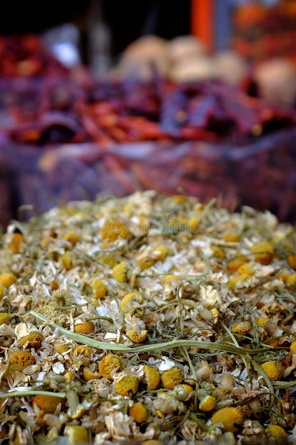 Dried Chamomile Flower,and Sambucus Nigra Stock Photo - Image of ...