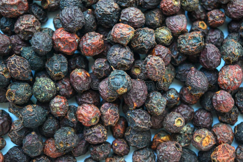 Dried Cherries with Bone Inside on a White Background Scattered. Stock ...