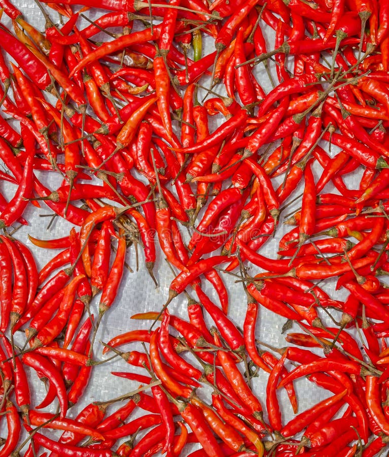 Dried Chili Background Texture Stock Image - Image of kitchen, chilli ...
