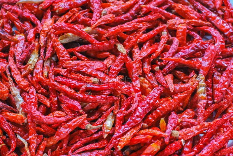 The Dried Chili stock photo. Image of food, market, diet - 47312028