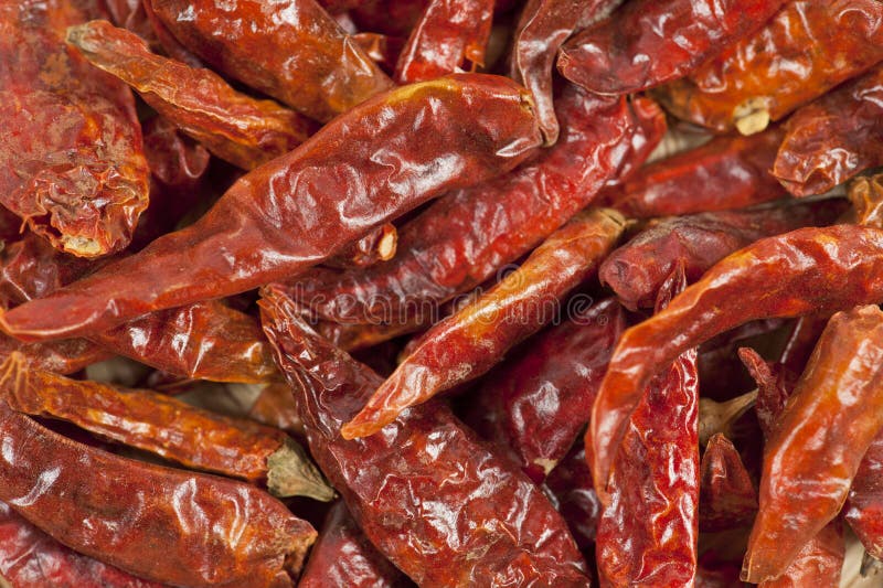 Dried chili. stock photo. Image of tiled, spicy, life - 197547146
