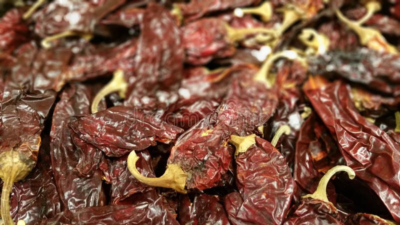 Dried Chili Peppers stock image. Image of stand, dried - 47148641