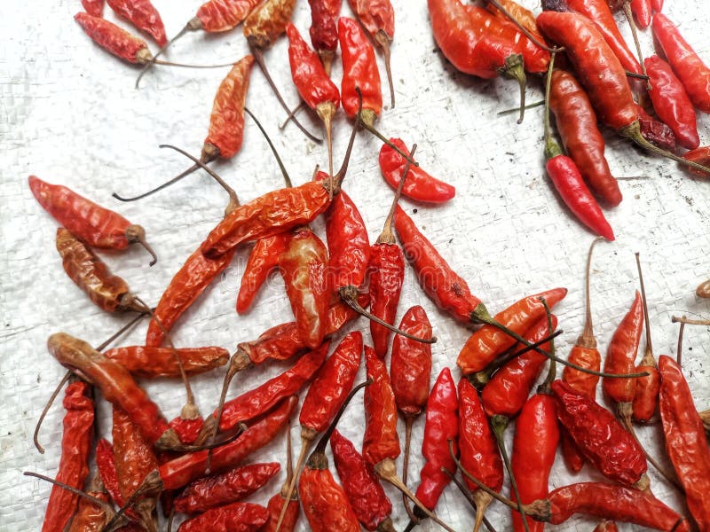Dried Chili Peppers To Make Chili Powder Stock Image - Image of pepper ...
