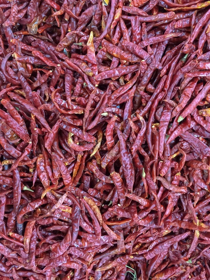 Dried chili stock image. Image of chilly, ingredient - 41483931
