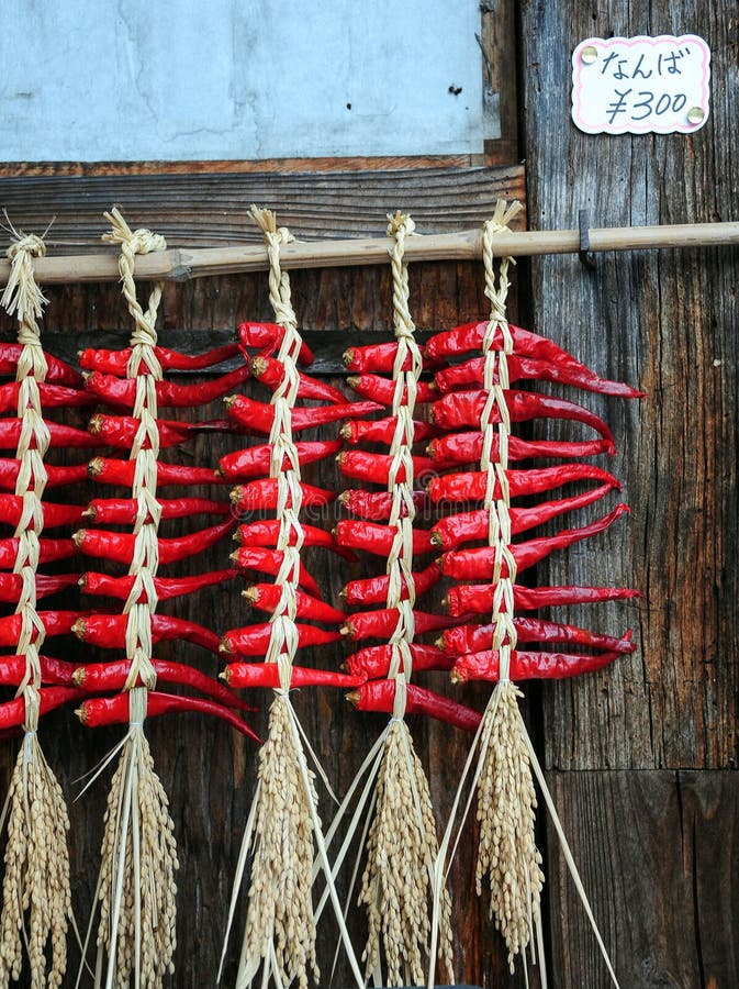 Dried Chili S Hanging on Wall Stock Image - Image of healthy, cuisine ...