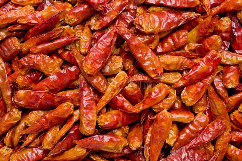 Dried Chilis stock photo. Image of dried, food, chili - 19391870