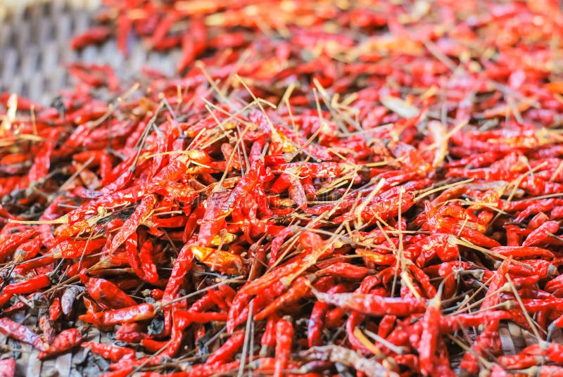 The Dried Chilli stock photo. Image of healthy, cuisine - 47240280