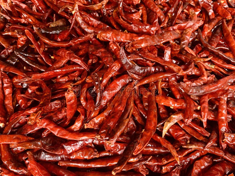 Dried chilli stock image. Image of kitchen, dried, chilli - 143692191