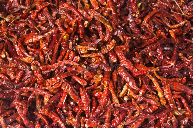 Dried chilli stock photo. Image of dried, nature, hottest - 43279502