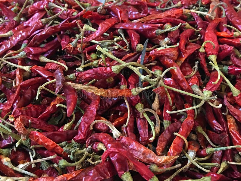 Dried Chilli stock image. Image of dried, food, chilli - 73133831