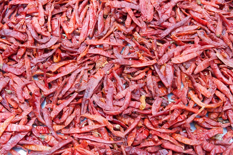 Dried chilli on the ground stock image. Image of tropical - 85772285