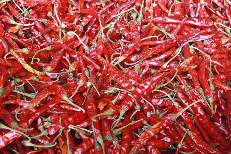 Dried chilli stock image. Image of culture, chili, food - 58072889