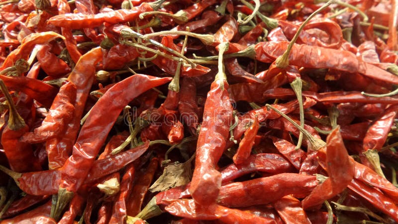 Dried Chilli stock photo. Image of herb, dried, chilli - 54986778