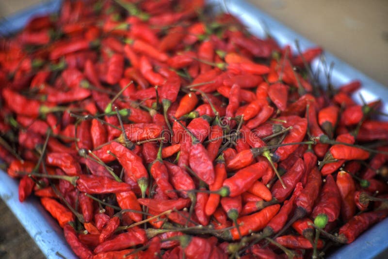 Dried chilli on iron tray stock photo. Image of yummy - 143399446