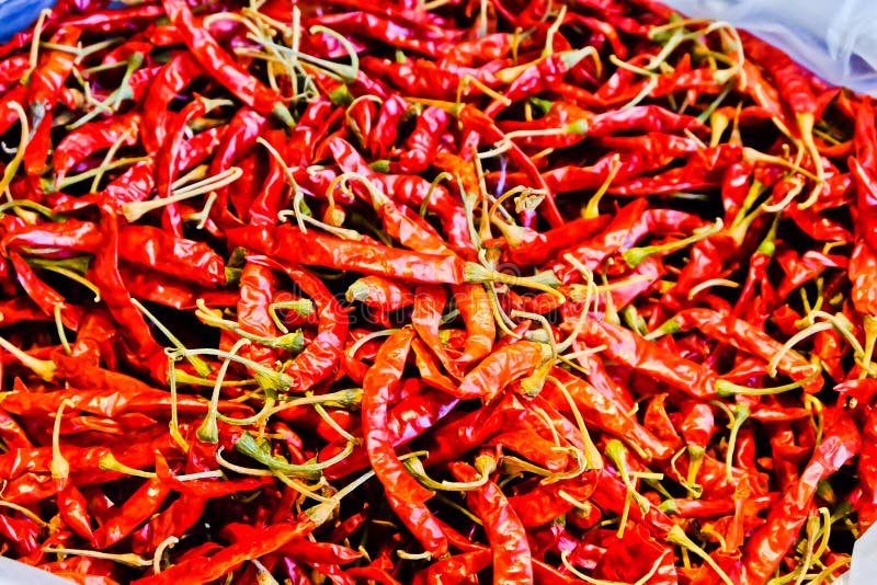 Dried chilli red stock image. Image of thai, ingredients - 81318877
