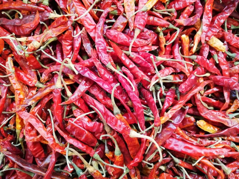 Dried Chilli Shoots Top View and Full Frame. Stock Image - Image of ...