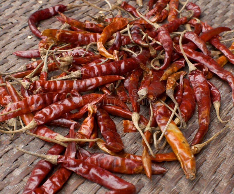 Dried chilli stock image. Image of chili, spice, diet - 37151819