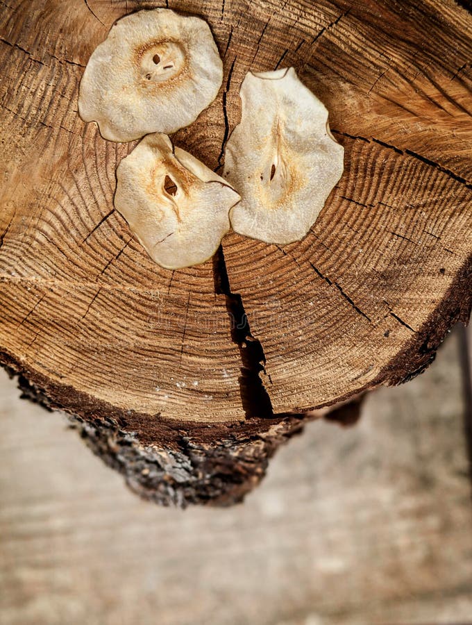 Dried Chunks of Fruit on Wooden Background. Stock Photo - Image of ...