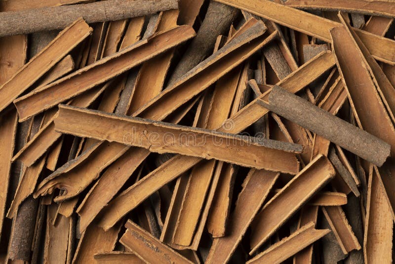 Dried cinnamon sticks stock image. Image of food, brown - 92670027