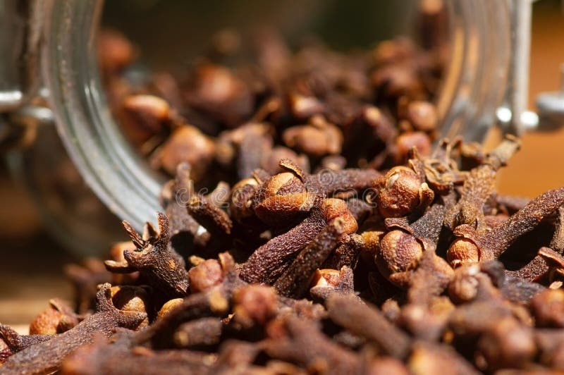 Dried Clove Seeds, in Shallow Focus, in Front of a Clear Glass ...