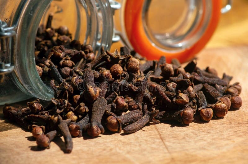 Dried Clove Seeds, in Shallow Focus in Front of a Clear Glass Container ...