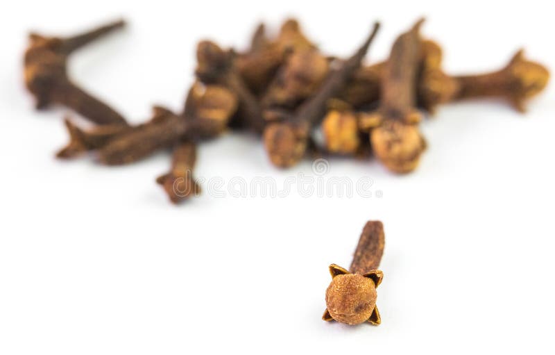 Dried Cloves stock image. Image of cuisine, flavor, clove - 30918533