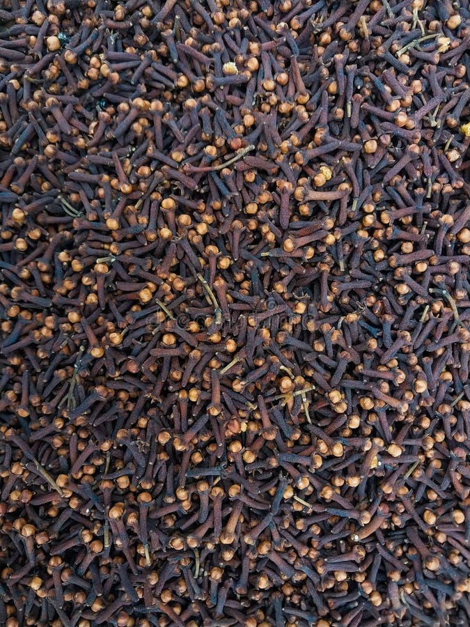 Dried Cloves that Have Escaped from the Drying Process Stock Photo ...