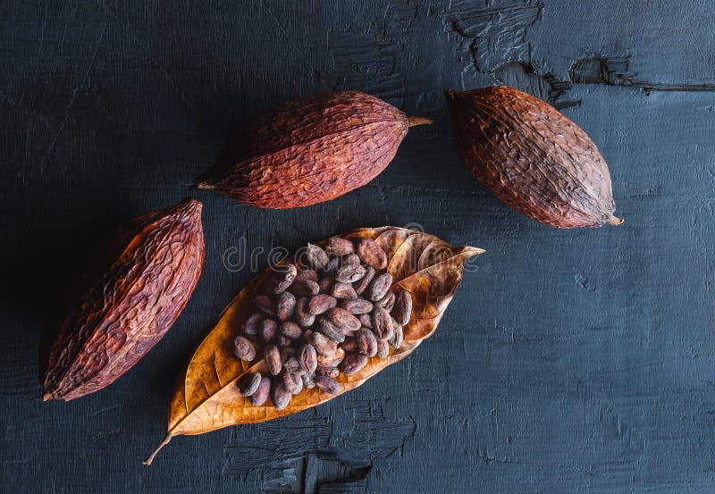 Dried Cocoa Beans and Dried Cocoa. Stock Image - Image of gourmet ...