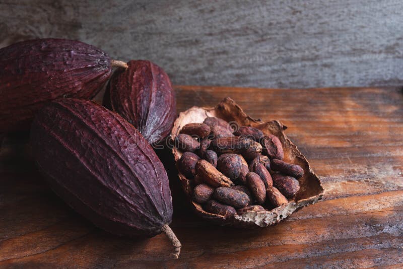 Dried Cocoa Beans and Dried Cocoa Beans Stock Image - Image of leaves ...