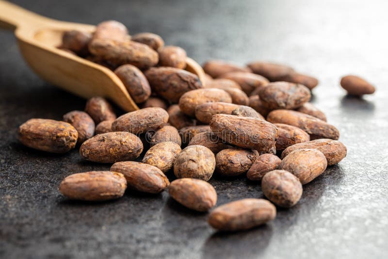 Dried cocoa beans stock image. Image of aromatic, isole - 237346381